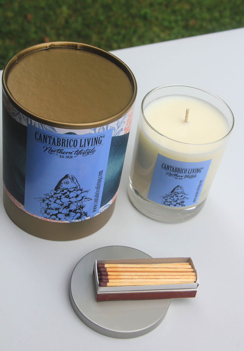Vela ballena – CantabricoLiving